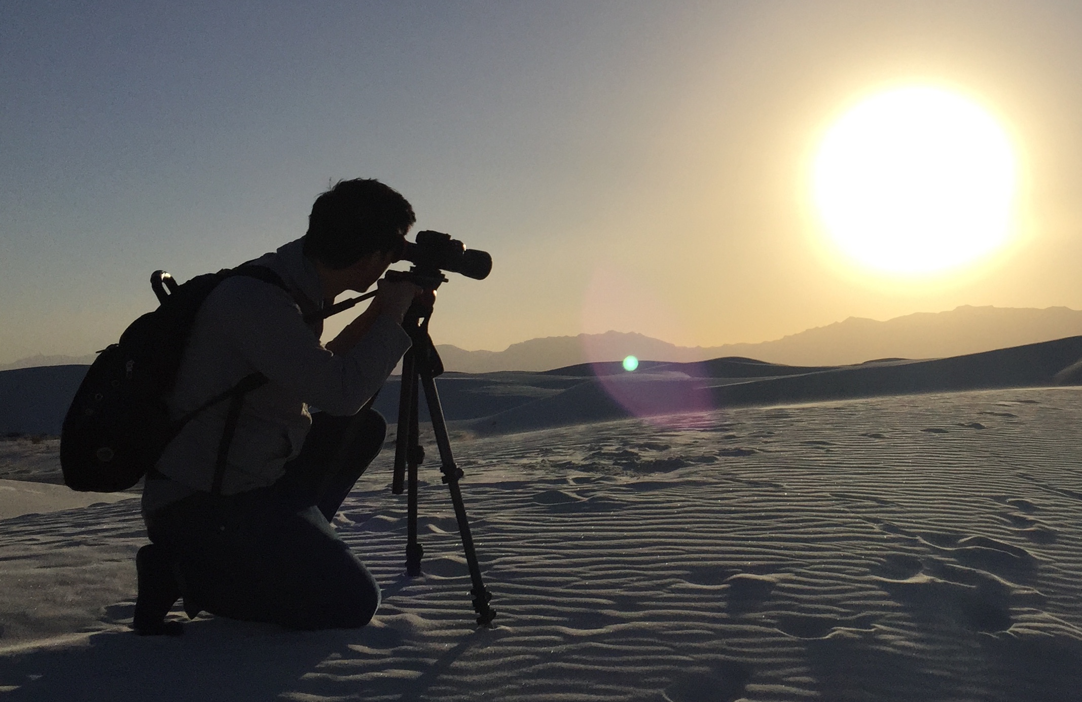 Terrain – Graywolf Lab